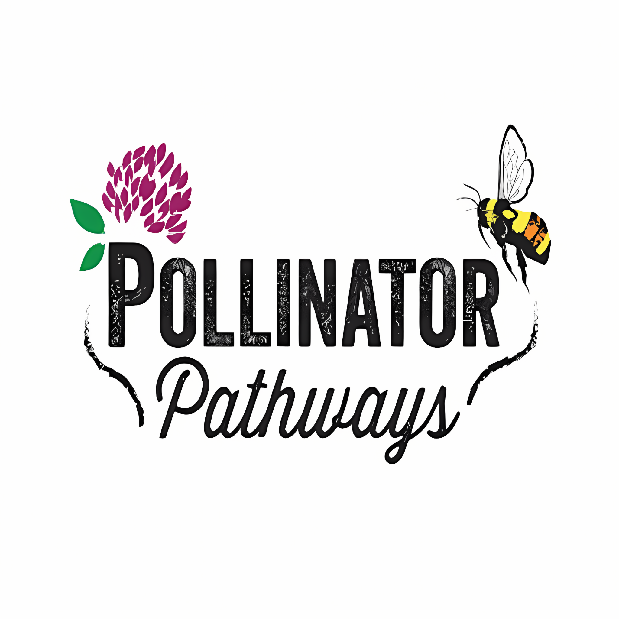 Projects & Programs – Hamline Midway Coalition